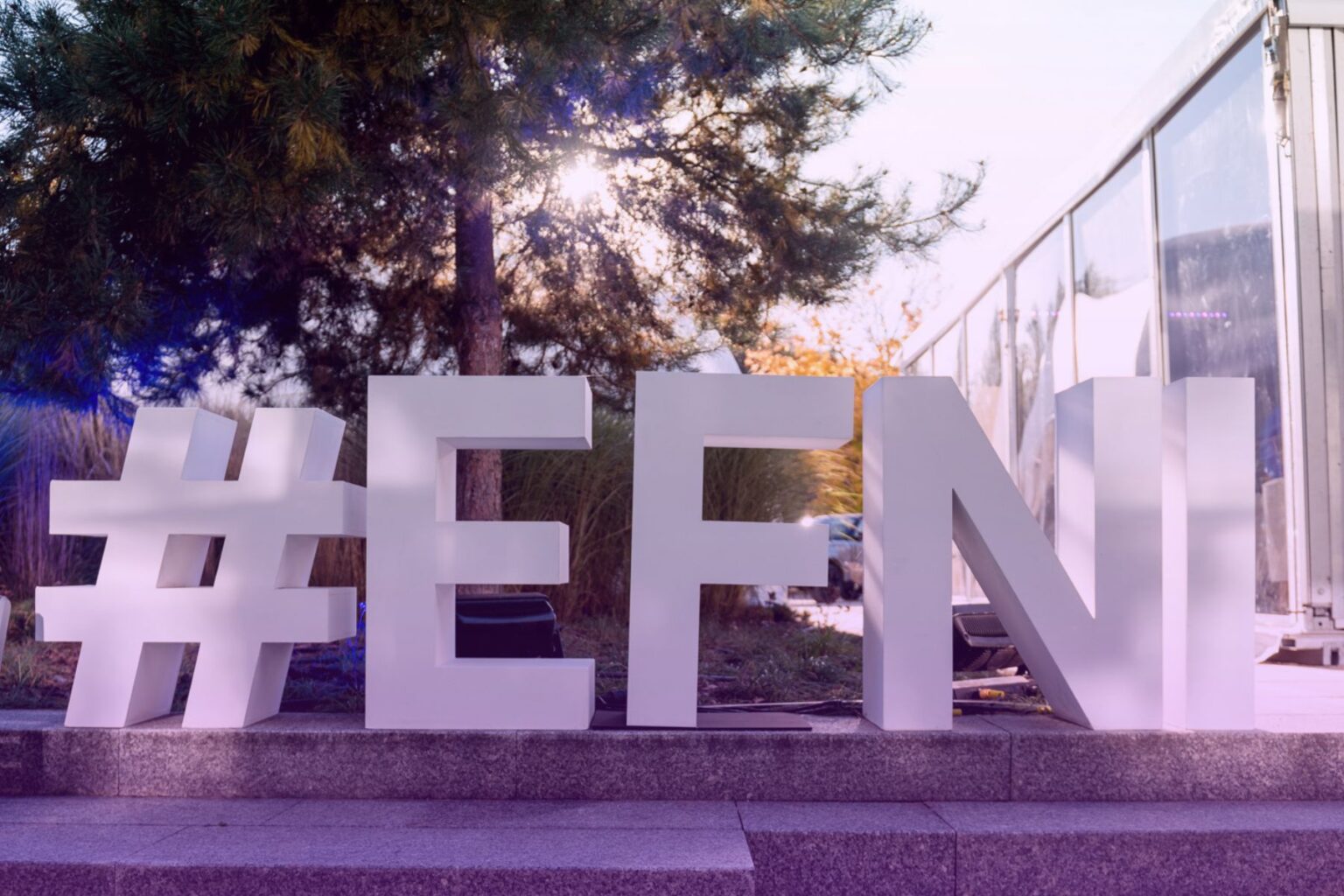 EFNI Wiosna w Warszawie: o polskiej prezydencji i przyszłości rynku ...